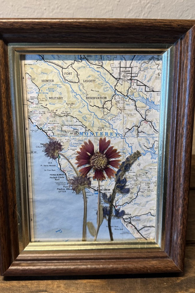Monterey Botanical Map Art in Vtg Wood/Brass Frame MTS – Bliss Marketplace